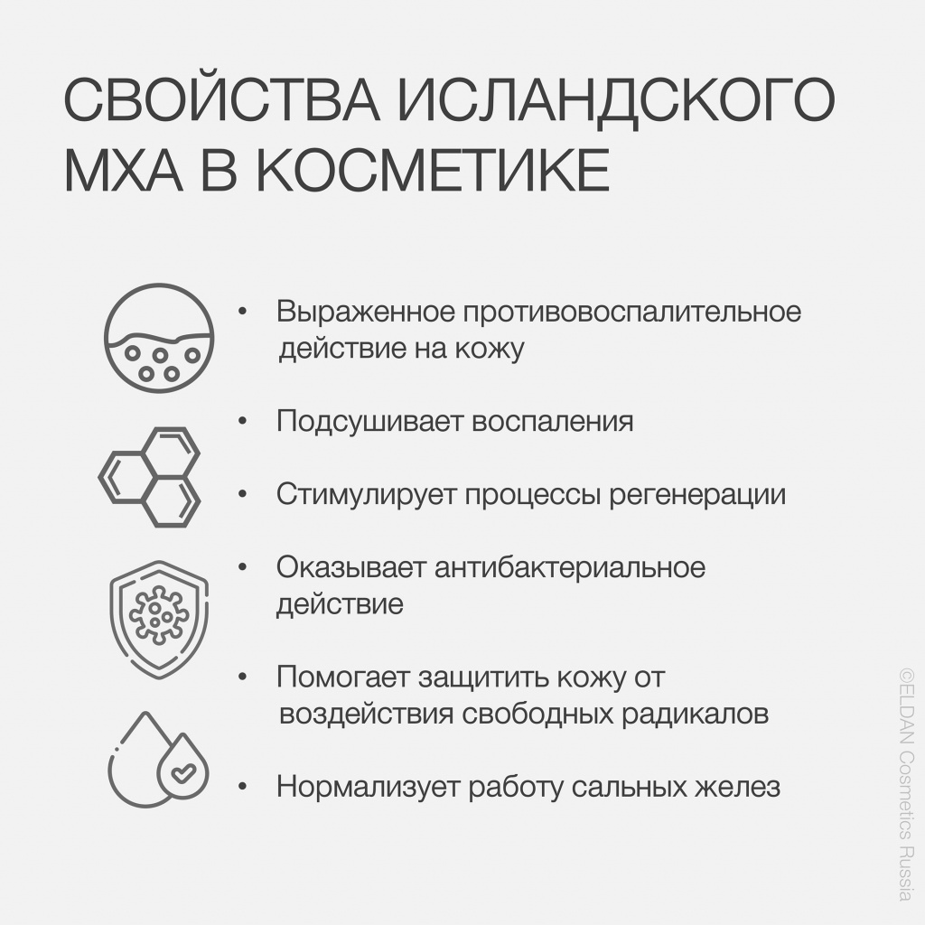 Исландский мох в косметике: свойства и преимущества — ELDAN Cosmetics